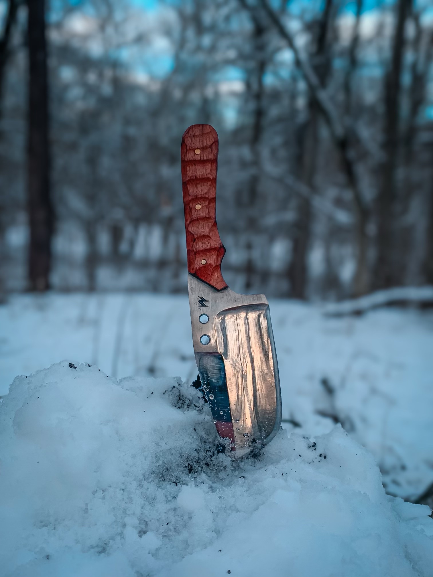 Hand-Forged Steel Knife - Charlotte - Since We Woke Up